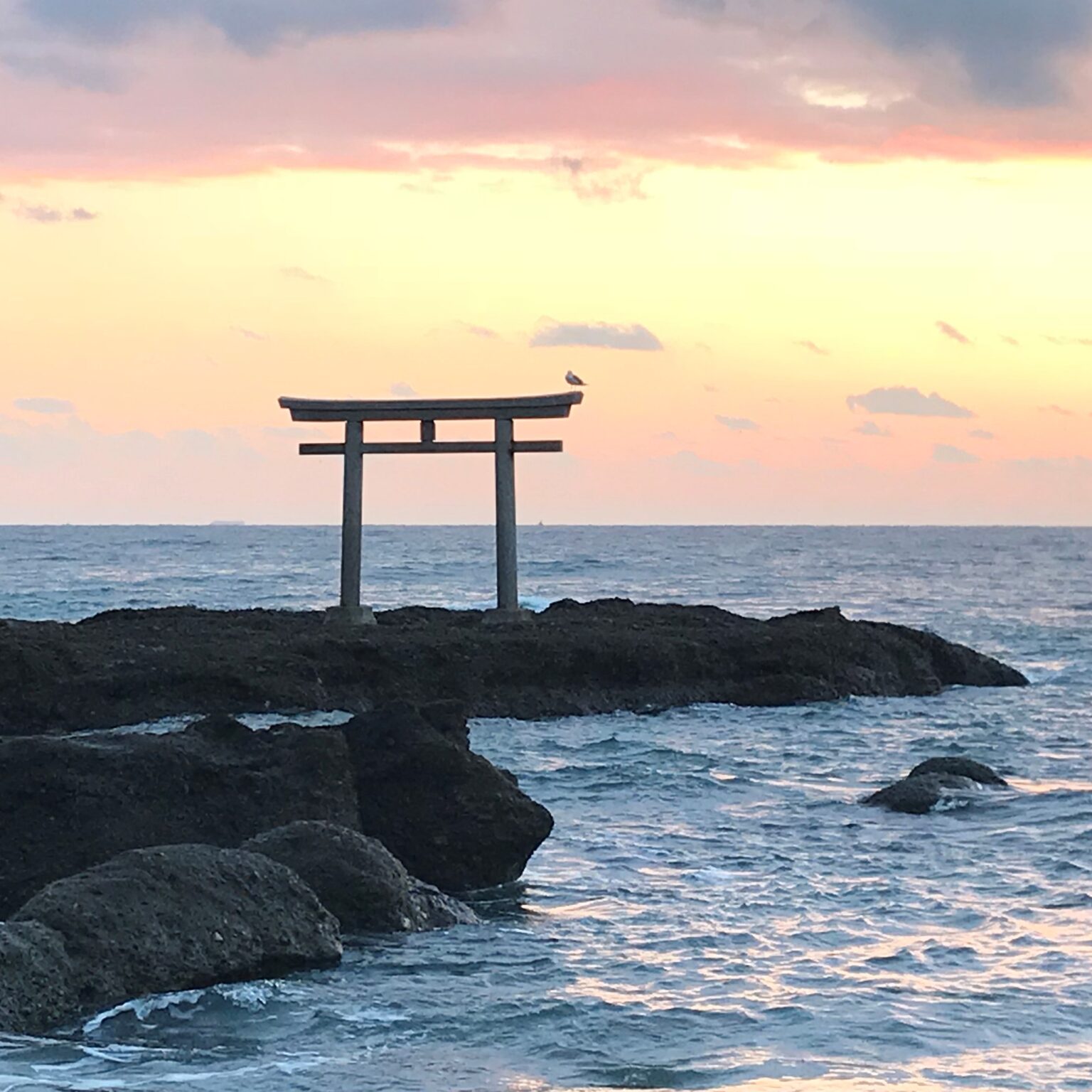 メンバー紹介 | XACK